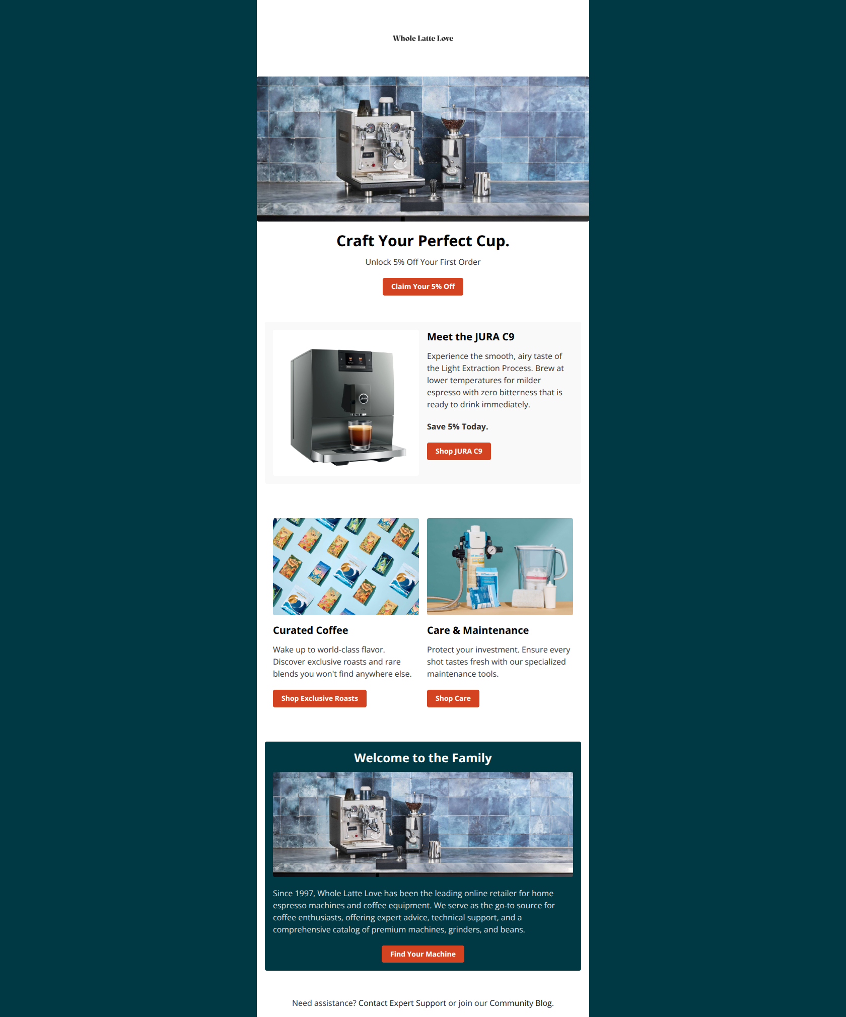 Email Marketing Examples & Reviews | Klaviyo, Shopify Emails | Kopi AI ...