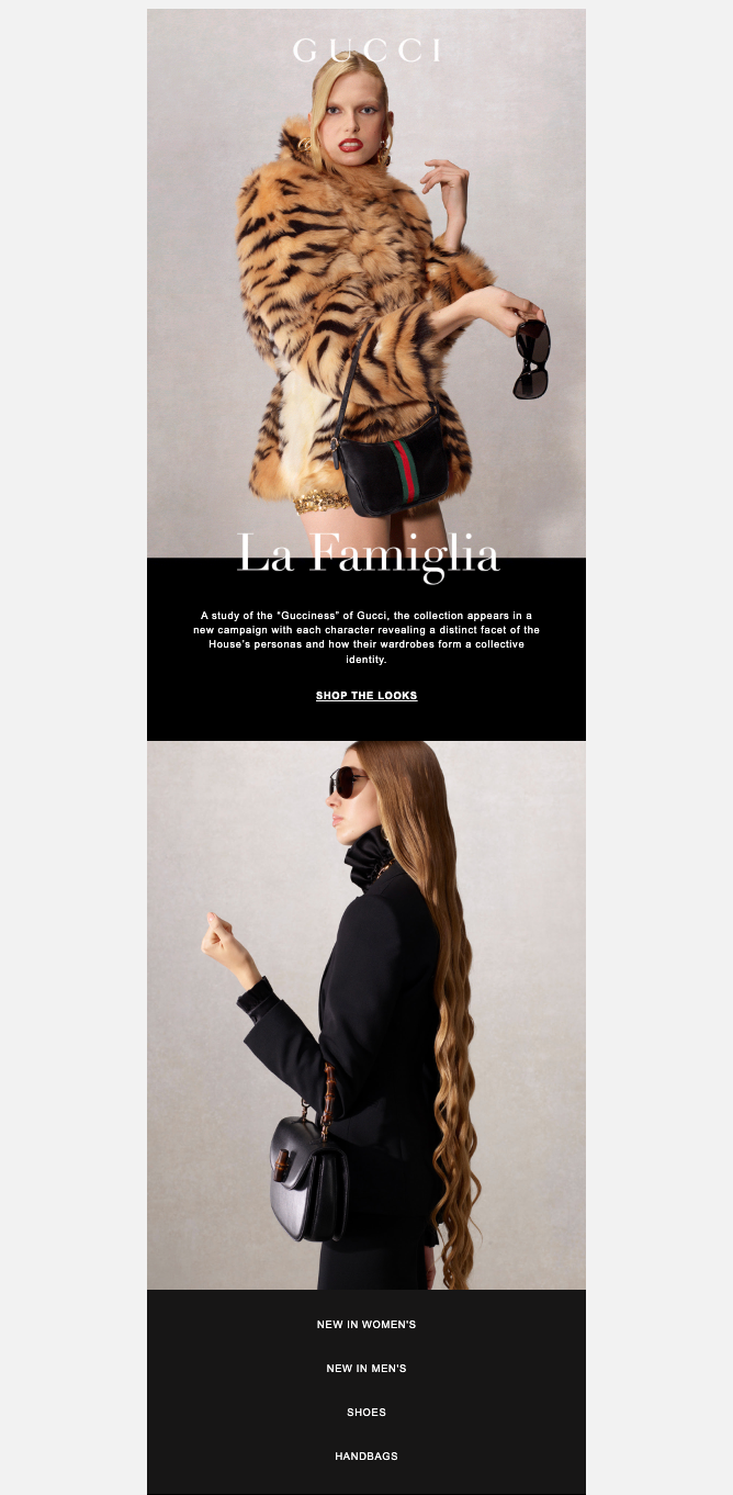 Email Marketing Examples & Reviews | Klaviyo, Shopify Emails | Kopi AI ...